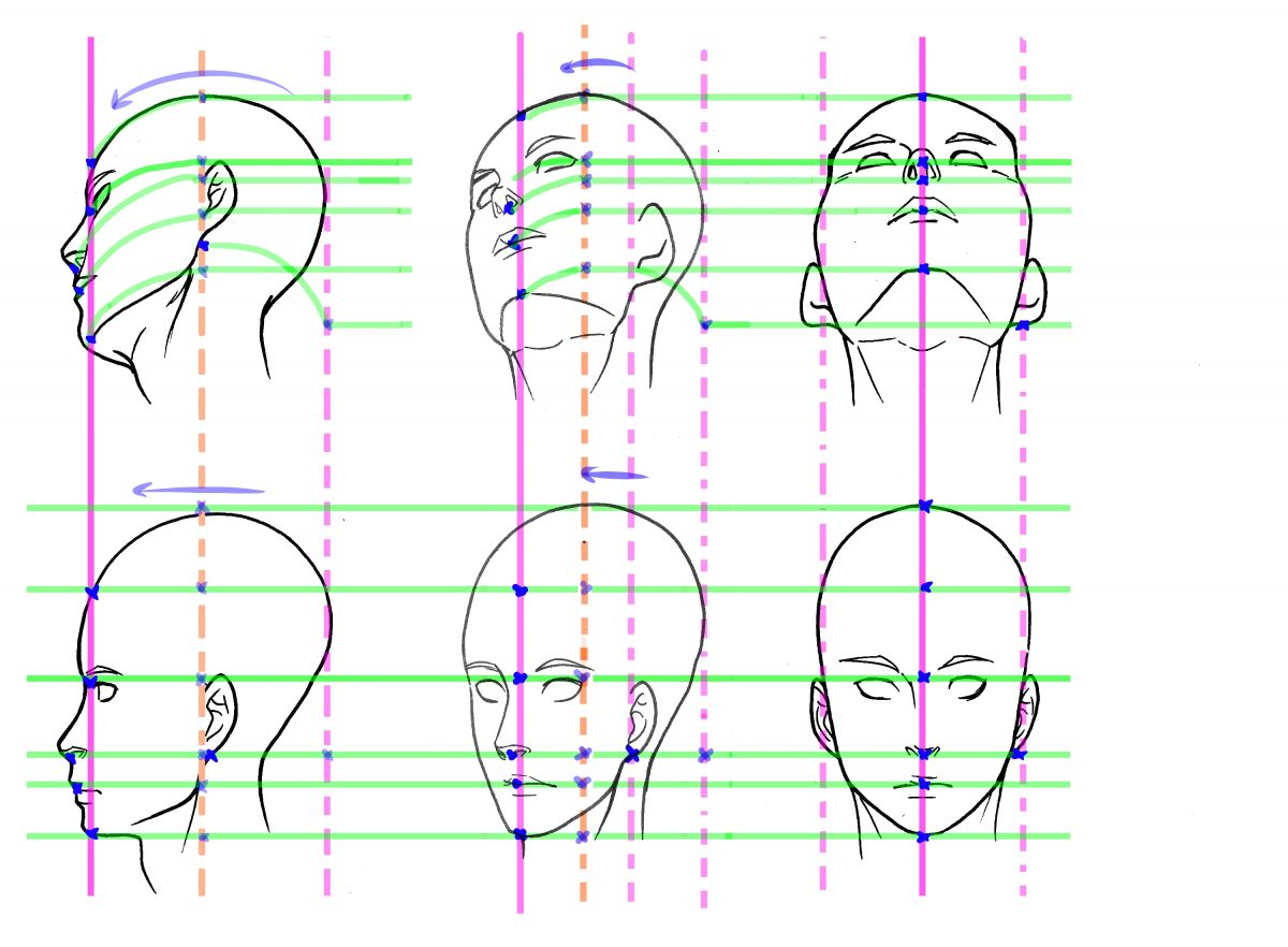 Les différents angles de vue du visage – Manga-designer.com